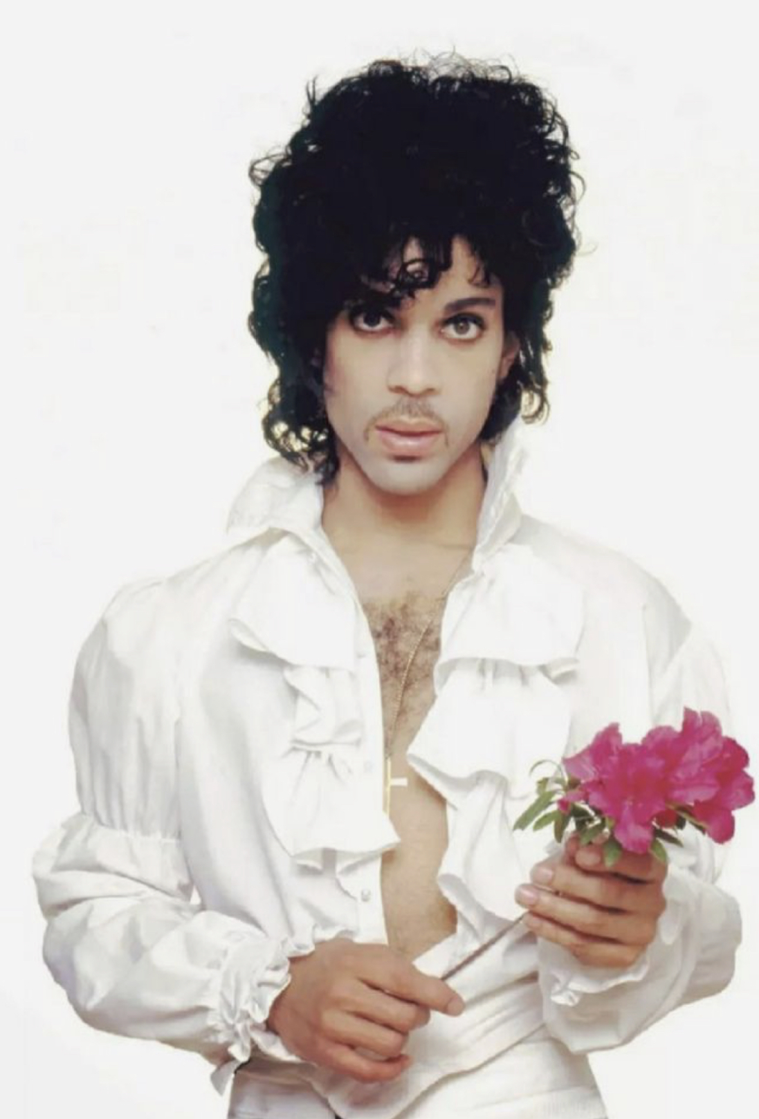 Prince【Darling Nikki】和訳 下品を目指す上品な生物 Refined Creatures Aiming for ...